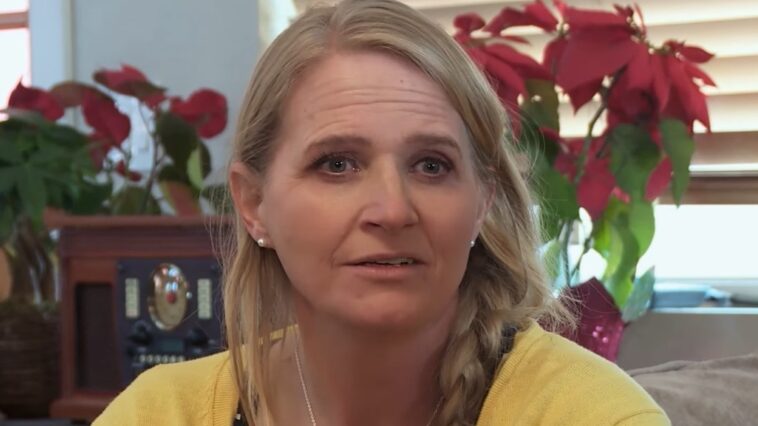 Sister Wives Star Janelle Loves Her Dogs - The World News Daily