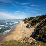 Where Is Syreeta Covington, The Star Of ‘My 600-lb Life,’ Now?