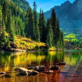 Where Is Chrystal Rollins, The Star Of ‘My 600-lb Life,’ Now?